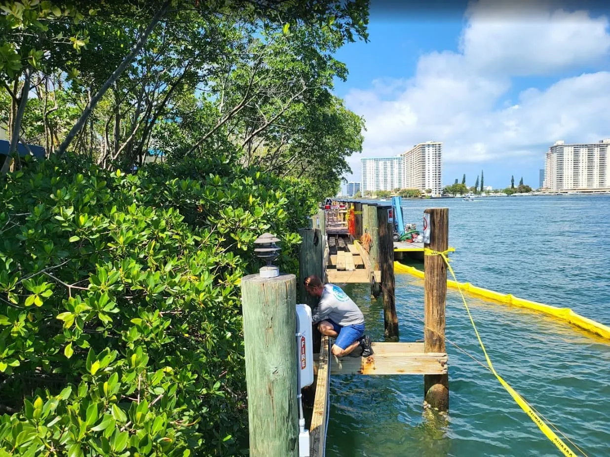 Can Eco-Friendly Seawalls in Florida Be Made Easily? Exploring Living ...