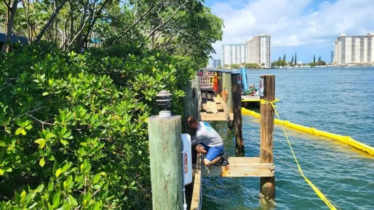 Can Eco-Friendly Seawalls in Florida Be Made Easily? Exploring Living ...